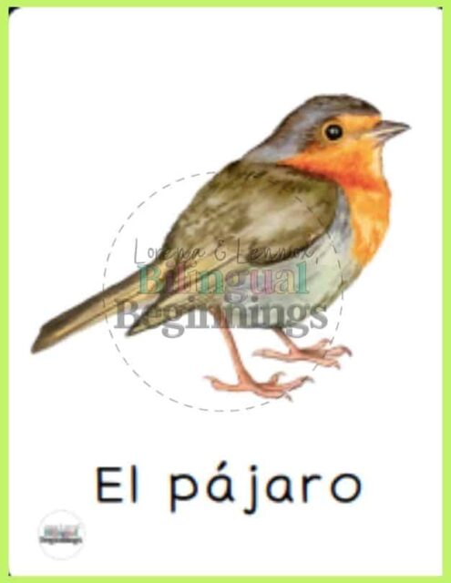 Learn About Spring in Spanish With This Printable Bingo Game for ...