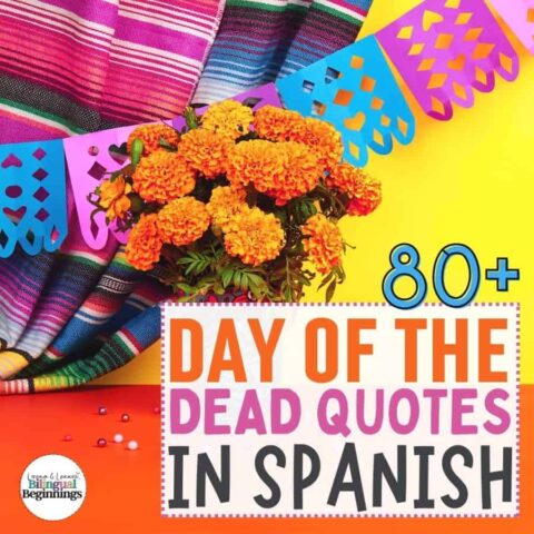 80+ Day of the Dead Quotes in Spanish - Bilingual Beginnings