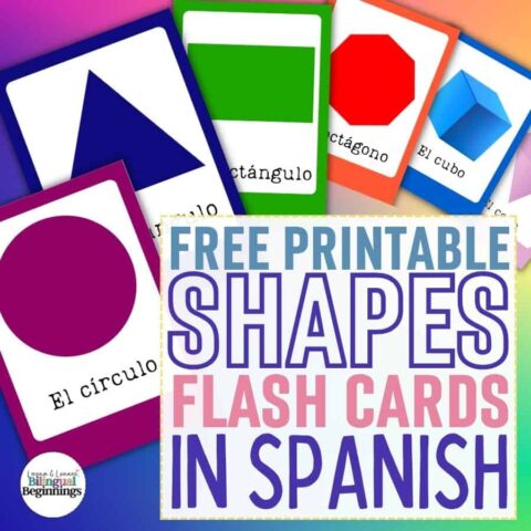 20 Downloadable Printable Shapes Flash Cards in Spanish [Freebie ...