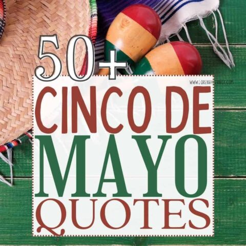 50 + Cinco de Mayo Quotes To Celebrate Mexico This Year! - Bilingual ...