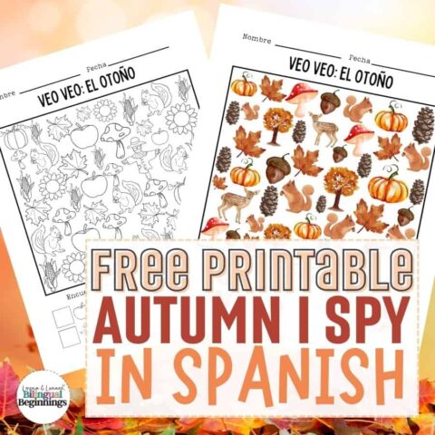 Fall I Spy Printable in Spanish (Free Printables) - Bilingual Beginnings