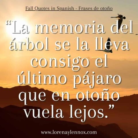 60 + Fall Quotes in Spanish to Celebrate the Beauty of Autumn ...