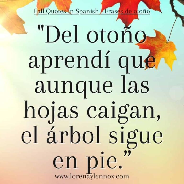 60 + Fall Quotes in Spanish to Celebrate the Beauty of Autumn ...