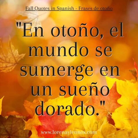 60 + Fall Quotes in Spanish to Celebrate the Beauty of Autumn ...
