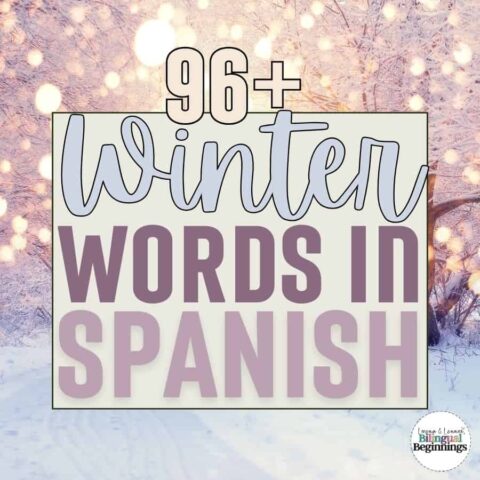 95+ Winter Spanish Vocabulary Words: Explore the Frosty Season in ...