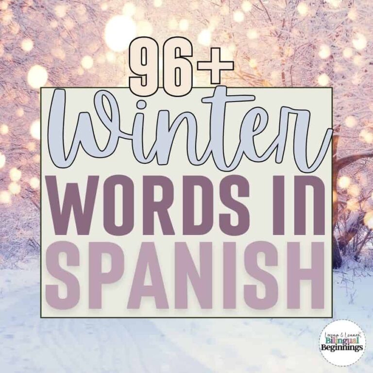 95+ Winter Spanish Vocabulary Words: Explore the Frosty Season in ...
